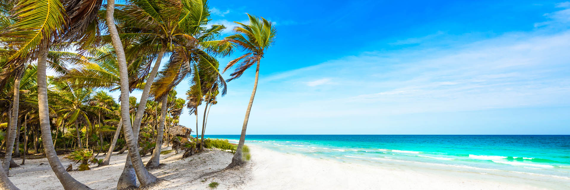 Vacation Packages & Deals | Flight + Hotel | JetBlue Vacations