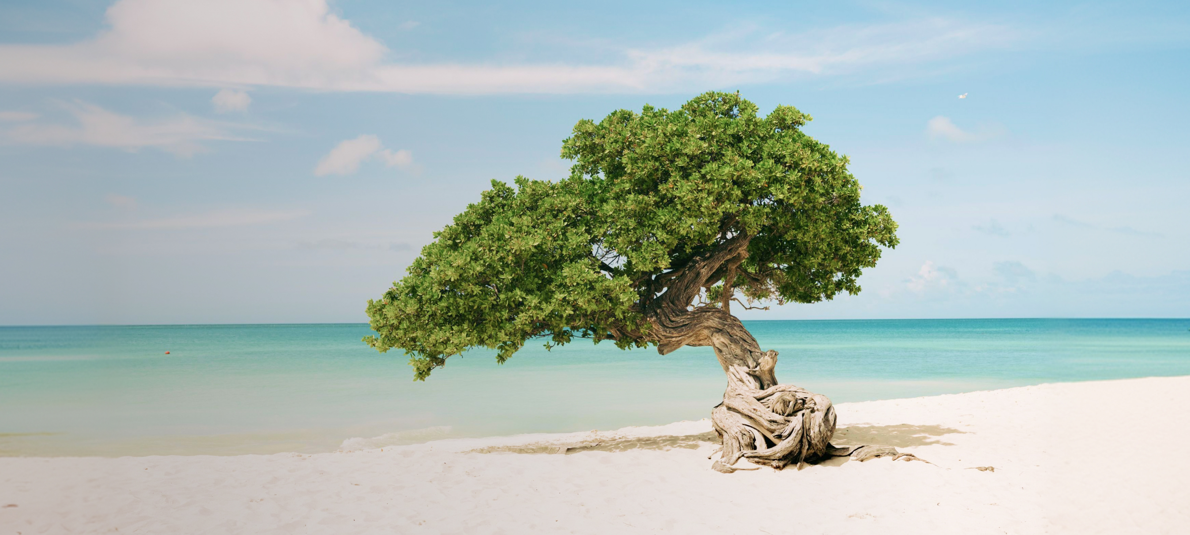 Aruba Vacation Packages & Beach Resorts | JetBlue Vacations