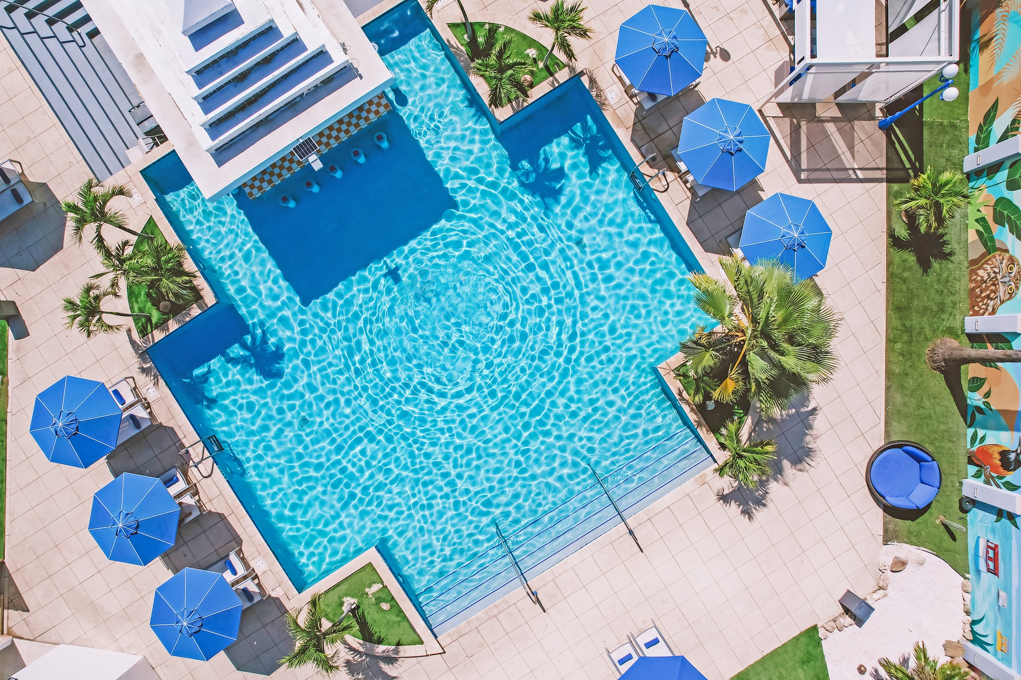 Tryp by Wyndham Aruba Adults Only - Boutique Hotel in Aruba | JetBlue ...